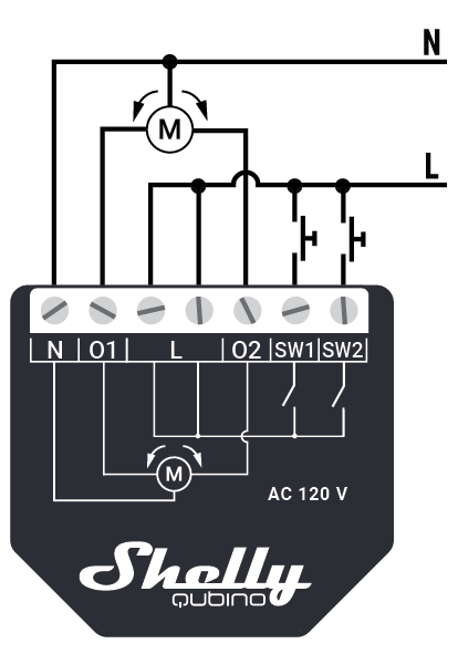 Shelly Wave Shutter (US)