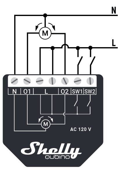 Shelly Wave Shutter (US)