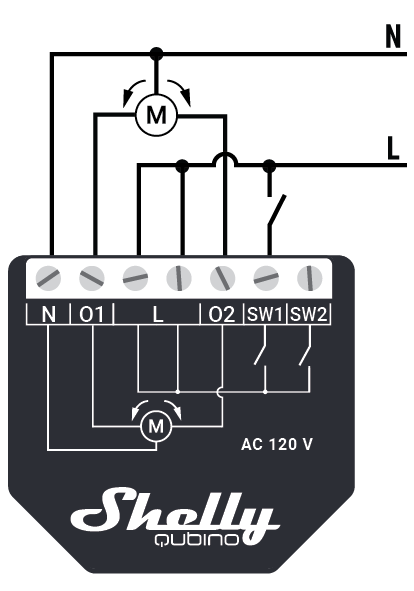 Shelly Wave Shutter (US)