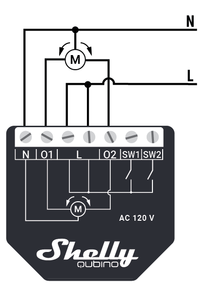 Shelly Wave Shutter (US)